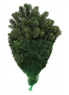 Noble Fir Bunched Mess Pack - 63748-8573 – Sunny Valley Farms
